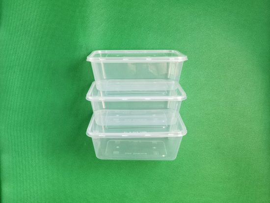 Tupperware Plastic Rectangle ??? (Microwave Safe) Size: 650 | Pasar ...